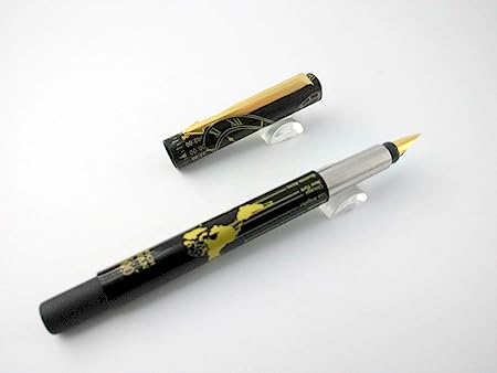 Parker Special Edition Vector Time Check Fountain Pen – shopamtopm